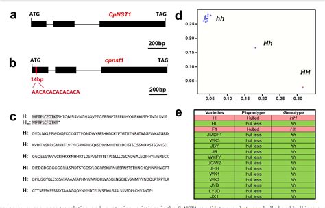 Image result for Tanstack Mutation