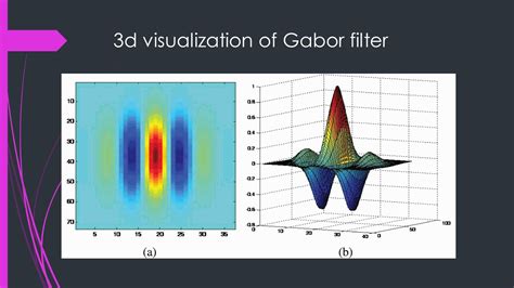 Image result for Gabor Filter Applications