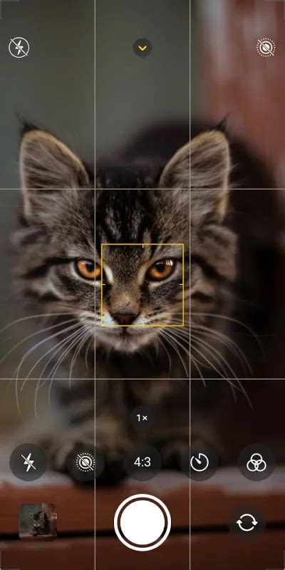 Image result for iOS On Android Phone Install