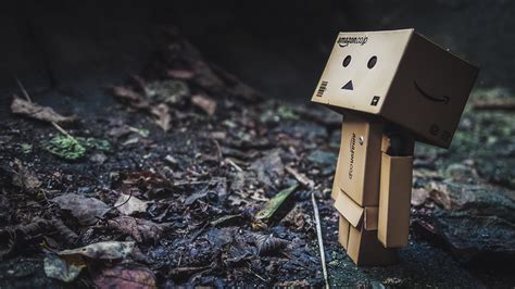 Image result for Sad Amazon. Box