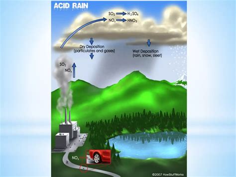 Image result for Environmental Issues Class 12