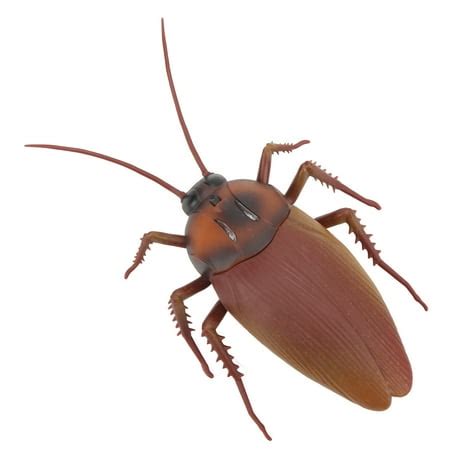 Image result for Cockroach Toy