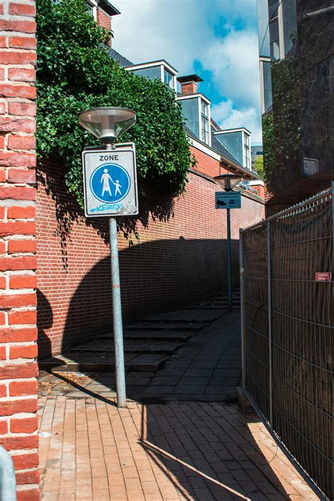 Image result for Codex Step Procedure