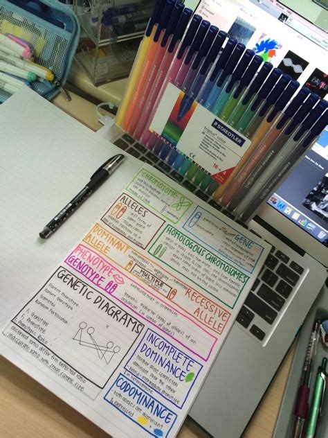 Image result for Revision Notes Chapter