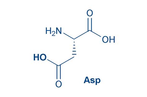 Image result for ASP Structure