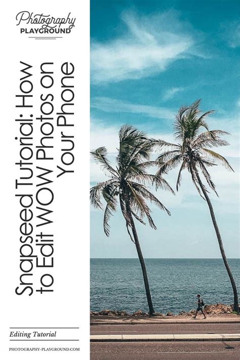 Image result for Snapseed Tutorial