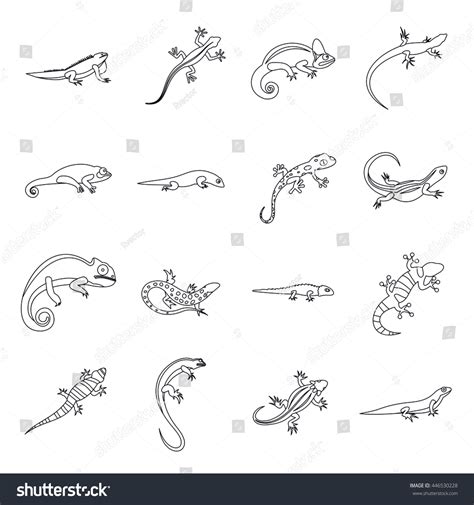 Image result for Simple Line Drawings Lizard