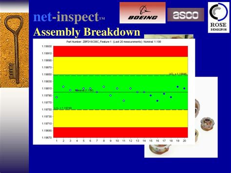 Image result for Net-Inspect LLC Reviews