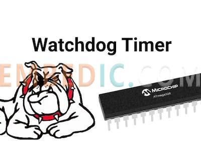 Image result for SW Watchdog Timers System Explanation