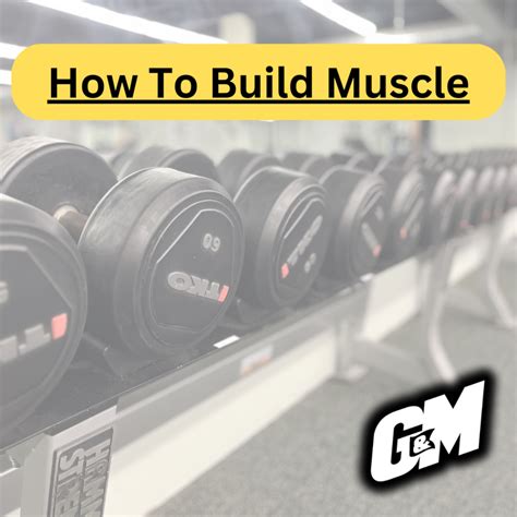 Image result for How to Build Muscle