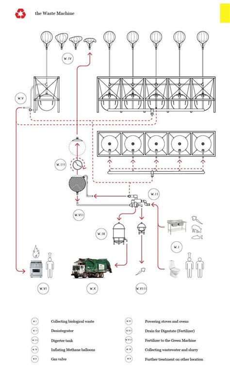 Image result for Morphological Development Chart
