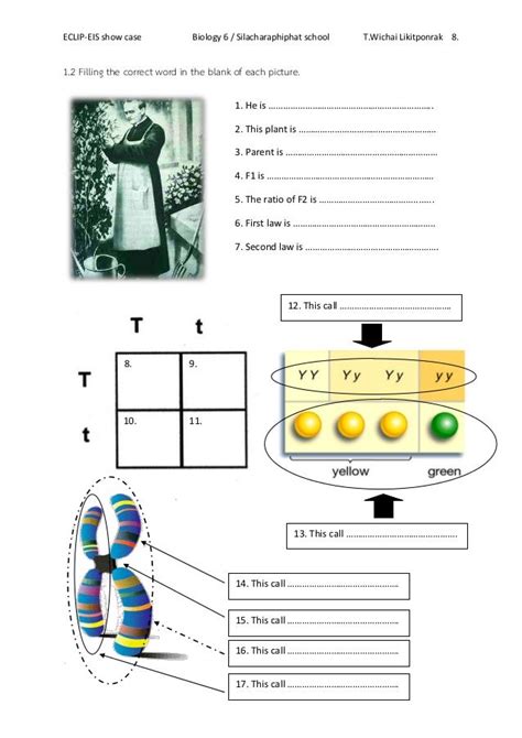 Image result for Human Genetics Lab Answers