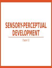 Image result for Perceptual Development Definition