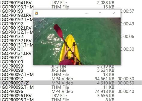 Image result for How to Tag LRV Files