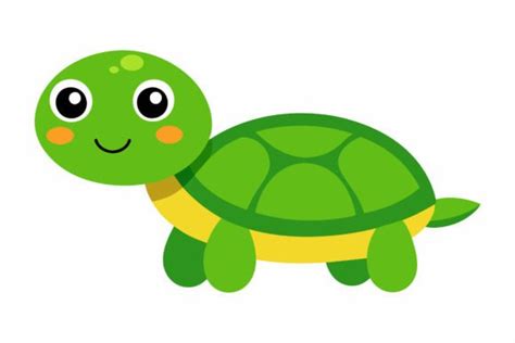 Image result for Turtle Cartoon