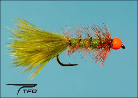 Image result for Lesser Pumpkin Fly