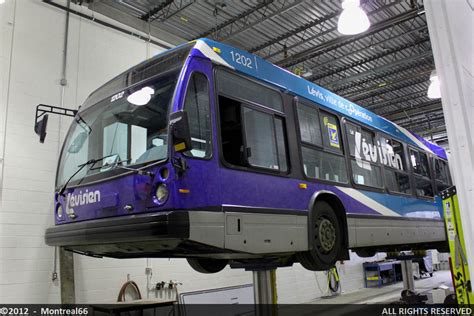 Image result for Example of Intemate Stle