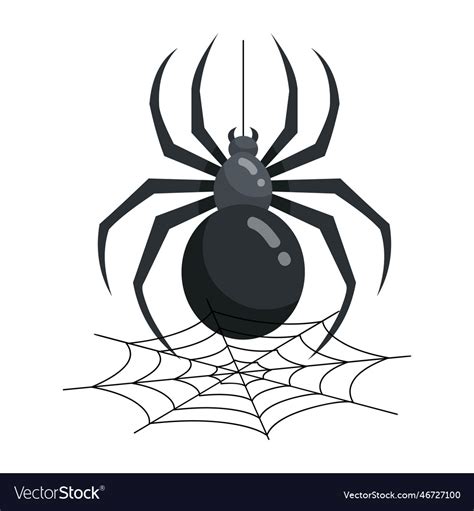 Image result for Spider Web Vector