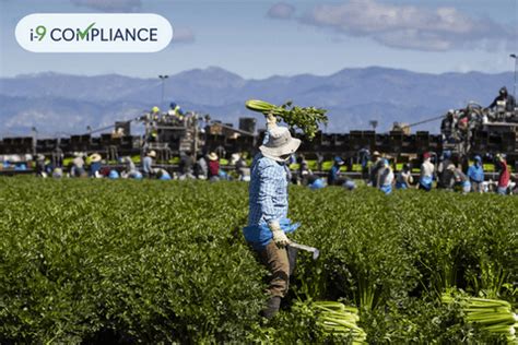 Image result for H-2A Program