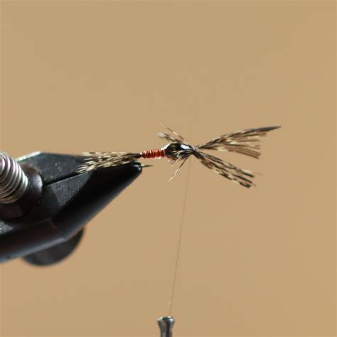 Image result for Fly Tying Using Body Quill