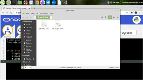 Image result for Bil Micro Bit Python