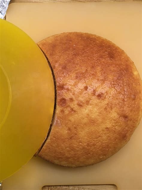 Image result for Bunny Rabbit Cake Tutorial