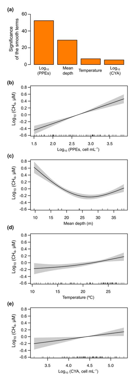 Image result for Generated Additive Model