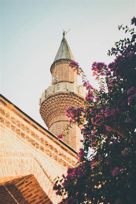 Image result for Building Resolution