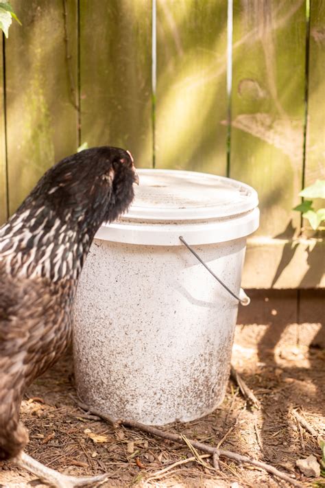 Image result for Backyard Composting DIY