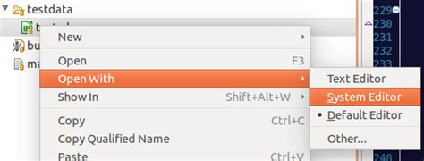 Image result for Using Excel On Eclipse