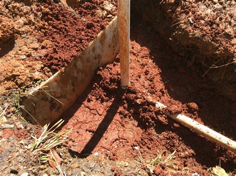 Image result for Spring Head Collection System