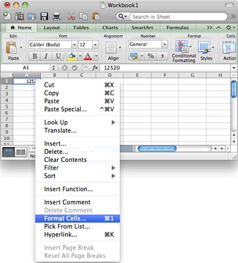 Image result for Excel 2010 Format Function