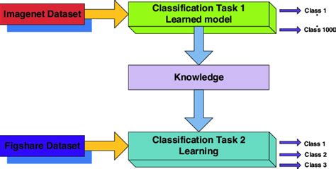 Image result for Transfer of Training Model