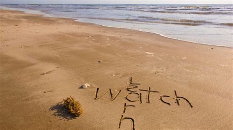 Image result for Implicit Learning