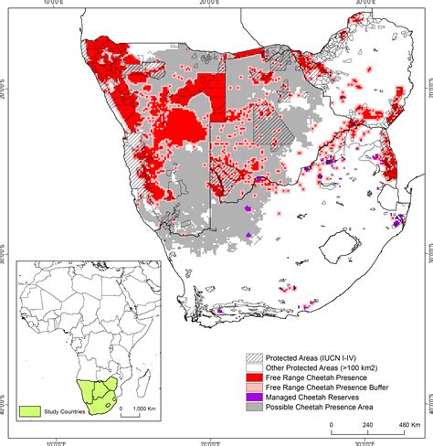 Asimilar Colonos El diseño cheetah habitat map pistón carro Rectángulo
