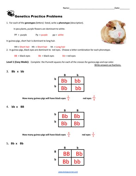 Image result for Genetics Practice Questions