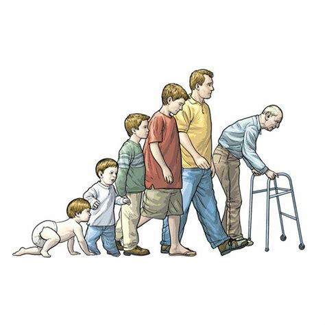 Child development stages development stages of kids though chart – Artofit