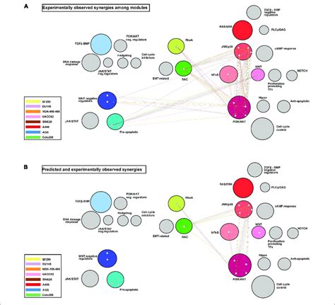 Image result for Synergy SourceMod