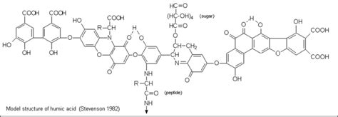 Image result for Humic Acid Structure
