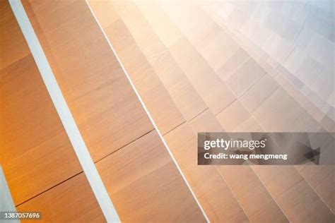 Image result for Library Step Ladder