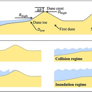 Image result for Example of Morphological Change