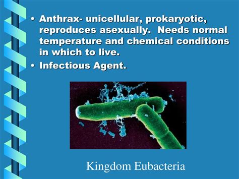 Image result for Classification Code of Practice