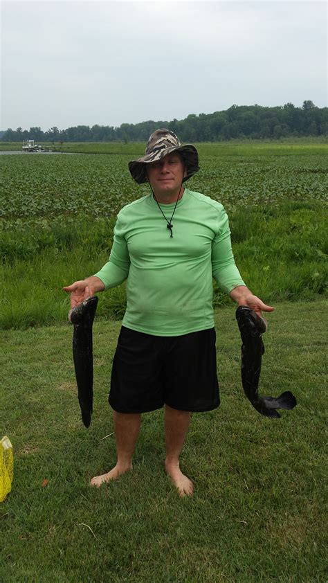 Image result for Snakehead Fish Hunting