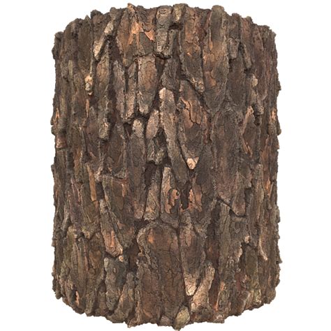 Image result for Tree Texture Maya