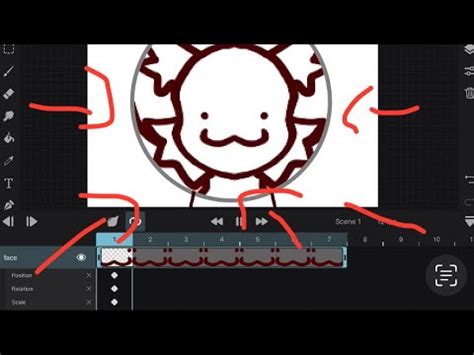 Image result for Toonsquid Tutorial