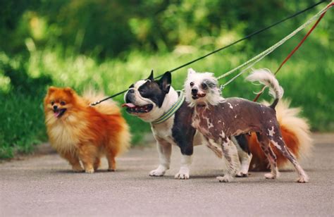 Image result for Senior Works Part-Time Job