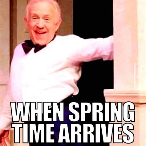 Image result for Spring Vivaldi Meme