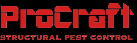 Image result for Small Flying Cockroach