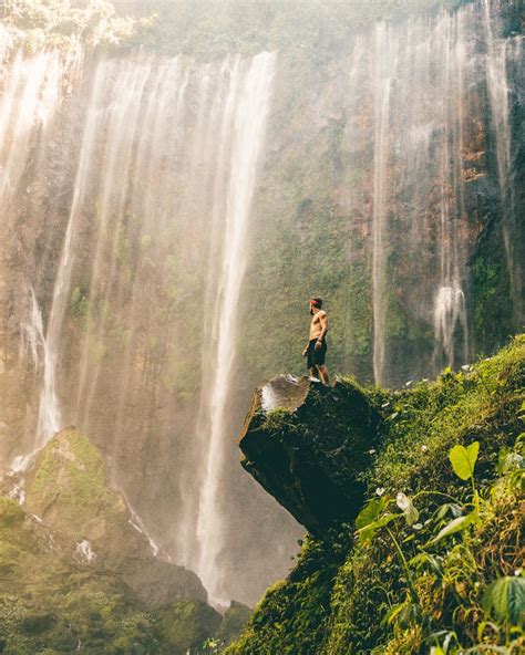 Image result for Java Bali