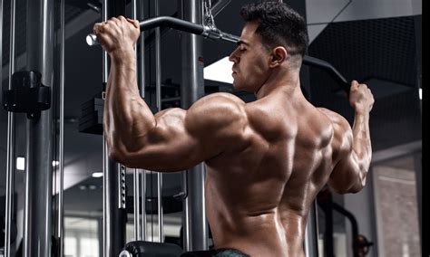 Image result for Push Back Exercise